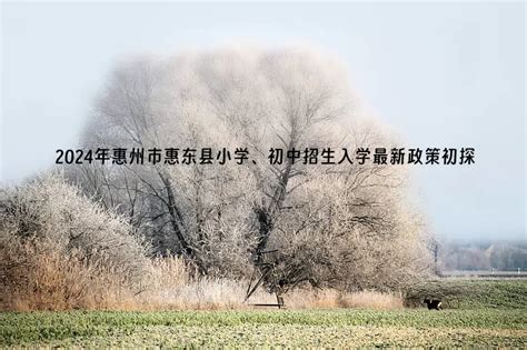 2024年惠州市惠阳区小学、初中招生入学条件政策小升初网
