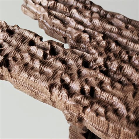 Termite Step Stool No Title La