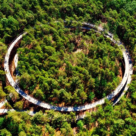 Pave By Joan Sandoval Dezeen