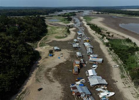 Cae Deforestación En La Amazonía Casi Un 57 En Septiembre
