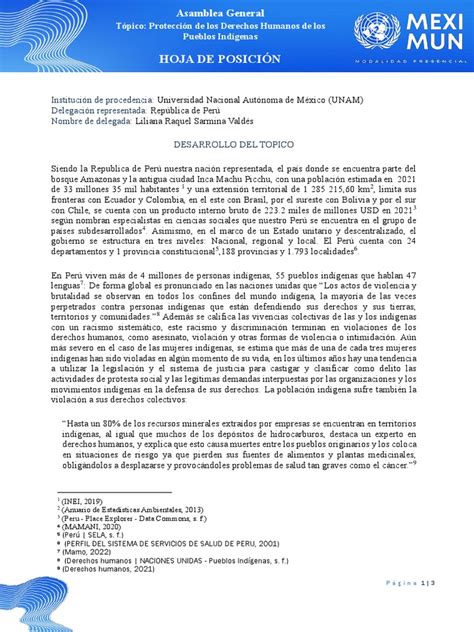 La Cuestión De Perú En Derechos Humanos De Pueblos Indigenas Pdf