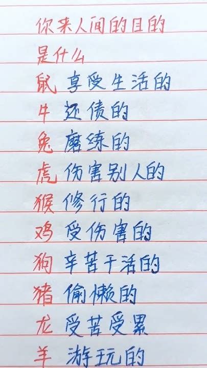 你来人间的目的是什么生肖 生肖运势 Music 十二生肖 Youtube