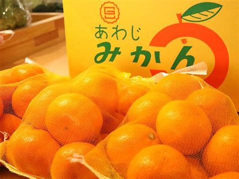 直売所 淡路島のフルーツ狩りができる観光農園「大坪だんだんファーム」