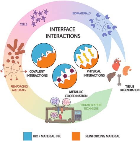 Schematic Of Principle Material Interface Interactions And Key Players