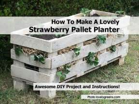 How To Make A Lovely Strawberry Pallet Planter
