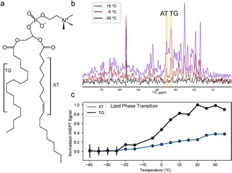 Lipid Phase Rinept Experiments On Natural Abundance Popc A Structure