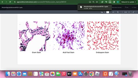 Solved The Morphological Unknown Exercise Has Been Modified