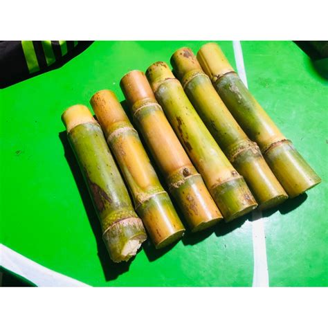 พันธุ์อ้อยคั้นน้ำ สุพรรณบุรี 50 Shopee Thailand