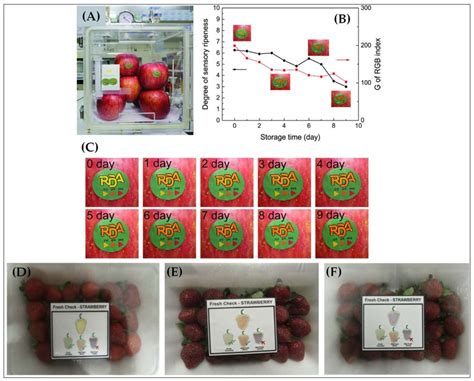 Fruit Quality Monitoring With Smart Packaging Mdpi