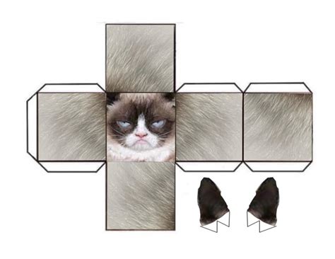 Grumpy Cat Cube Бумажные игрушки Шаблоны животных 3d искусство на