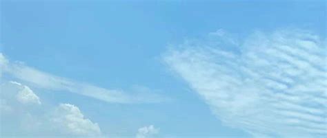 关于与领导沟通汇报