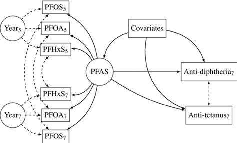 Structural Equation Model For Latent Pfas Exposure Middle Circle