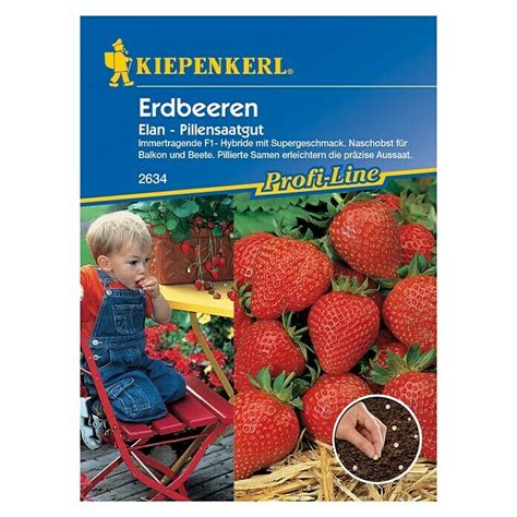 Kiepenkerl Profi Line Obstsamen Erdbeere Elan Fragaria X Ananassa