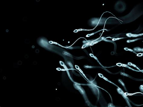 New Fertility Treatments Could Offset The Problems Of Ageing The New