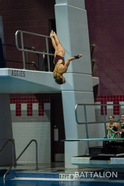Gallery Swimming And Diving Vs Texas The Battalion