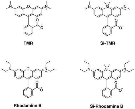 In Vivo Nerve Specificity Of Rhodamines And Si Rhodamines Pmc