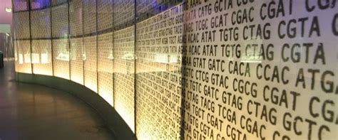 Top 10 Tips For NGS Library Preparation