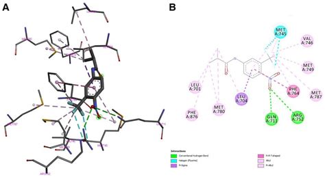 Figure A6 The Protein Ligand Interactions Between Har Pdb Id 1e3g Download Scientific