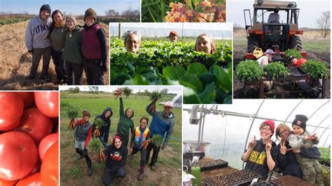 Organic Farm Job In Minnesota Beginning Farmers