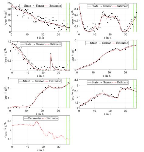 Simultaneous State And Parameter Estimation For Microbial Pha