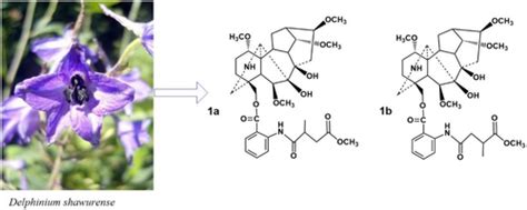 Two New C19‐diterpenoid Alkaloids From Delphinium Shawurense Ablajan