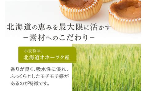 話題のスイーツ赤いサイロ 18個清月 チーズケーキ お菓子 スイーツ 北海道 お土産 お茶菓子 サイロ デザート 人気 小分け