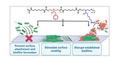 Peptidomimetic Polyurethanes Inhibit Bacterial Biofilm Formation And