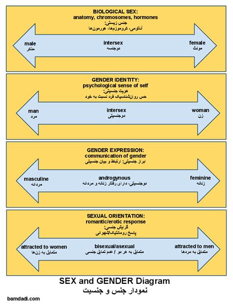 فرق میان جنس و جنسیت را می‌دانید؟ بامدادی
