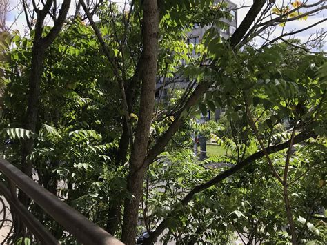 Офис в центъра на Бургас Офис 90 кв м Втори етаж Магазини Офиси Кабинети Салони Цен