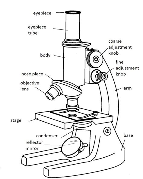 Instruments Used In Plant Pathology Lab