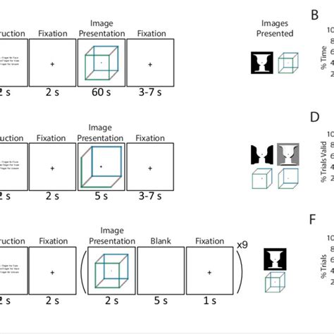 Paradigm And Behavioral Results A In The Ambiguous Condition