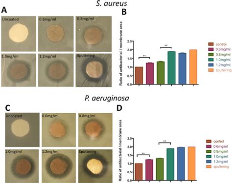 Anti Bacterial Effect Of The Agnp Coated Collagen Membrane On S Aureus
