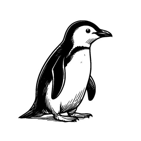 Free Penguin Vector Svg K40 Laser Cutter Free Penguin Vector Svg K40 Laser Cutter
