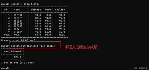 mysql中常用的操作语句已汇总 mysql语句 csdn博客
