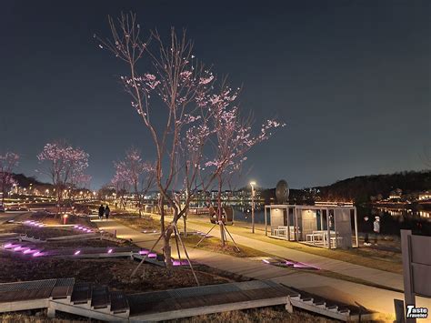 동탄호수공원 야경 동탄호수공원 벚꽃 현황 0401 네이버 포스트