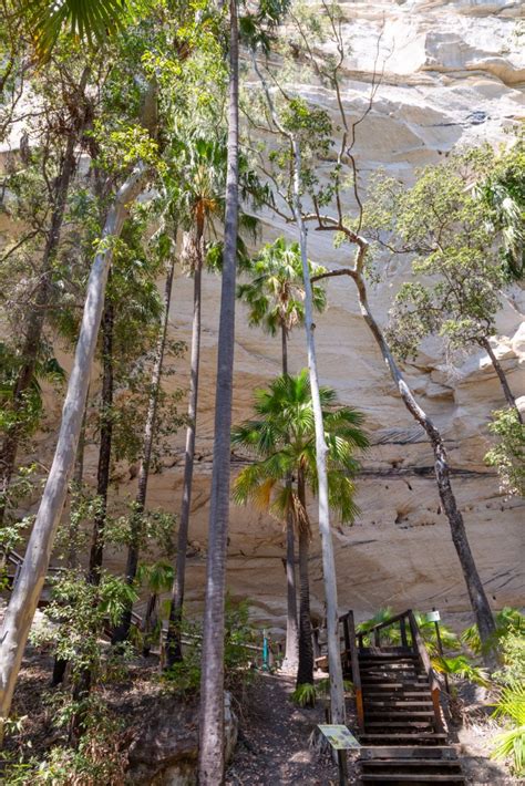 Carnarvon Gorge Cathedral Cave Rock Art Site Hiking The World