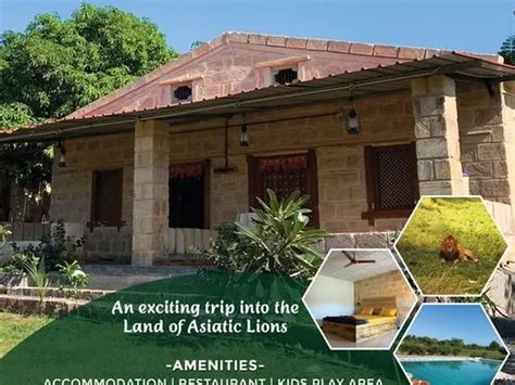 Best Resorts In Sasan Gir Woodland Resort Sasan Gir Junagadh Kippee