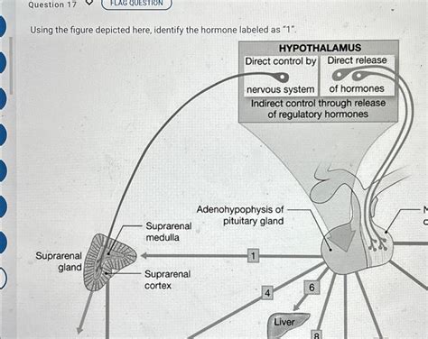 Solved Question Using The Figure Depicted Here Identify Chegg