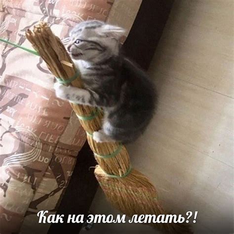 Волосатые киски 18+ | ВКонтакте