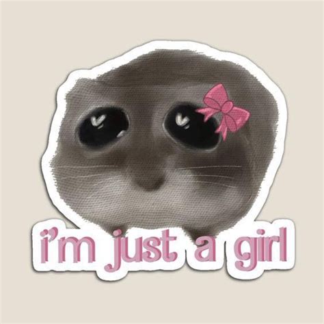 Pin By Nouran Taher On Board Of In 2024 Funny Laptop Stickers Sticker Design Inspiration