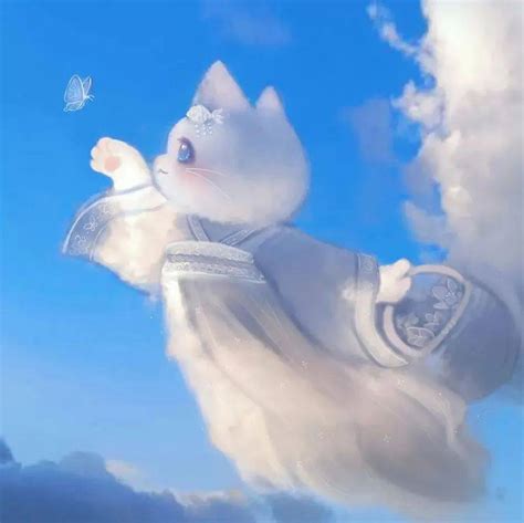 我不怕孤独怕的是辜负 爱情 女人 流星雨