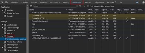 How To Check Cookies In Browsers