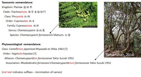 6 Vegetation Classification And Vegetation Maps David Zelený