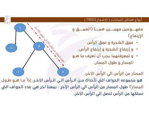 Introduction To Ds Trees PPT