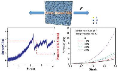 通过分子动力学模拟交联结构对丁苯橡胶力学性能的影响 Macromolecular Theory and Simulations X MOL