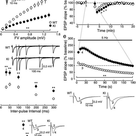 Abnormal Basal Synaptic Transmission And Presynaptic Short Term