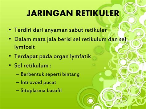 Ppt Connective Tissue Powerpoint Presentation Free Download Id1976954
