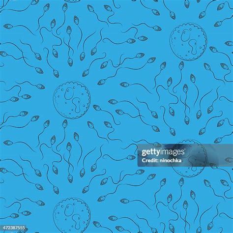 61 Human Oocyte Structure High Res Illustrations Getty Images