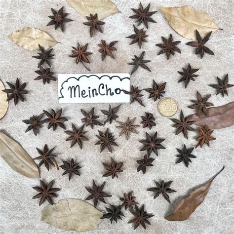 Jual 3 Biji Bunga Pekak Biji Pokak Star Anise Kering Flower Properti Foto Mahar Dekorasi