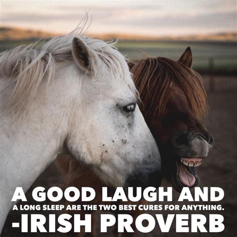 A Great Irish Proverb Quote Irish Ireland Irishquotes Quotes